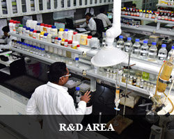 Apicore LLC | Photo Gallery